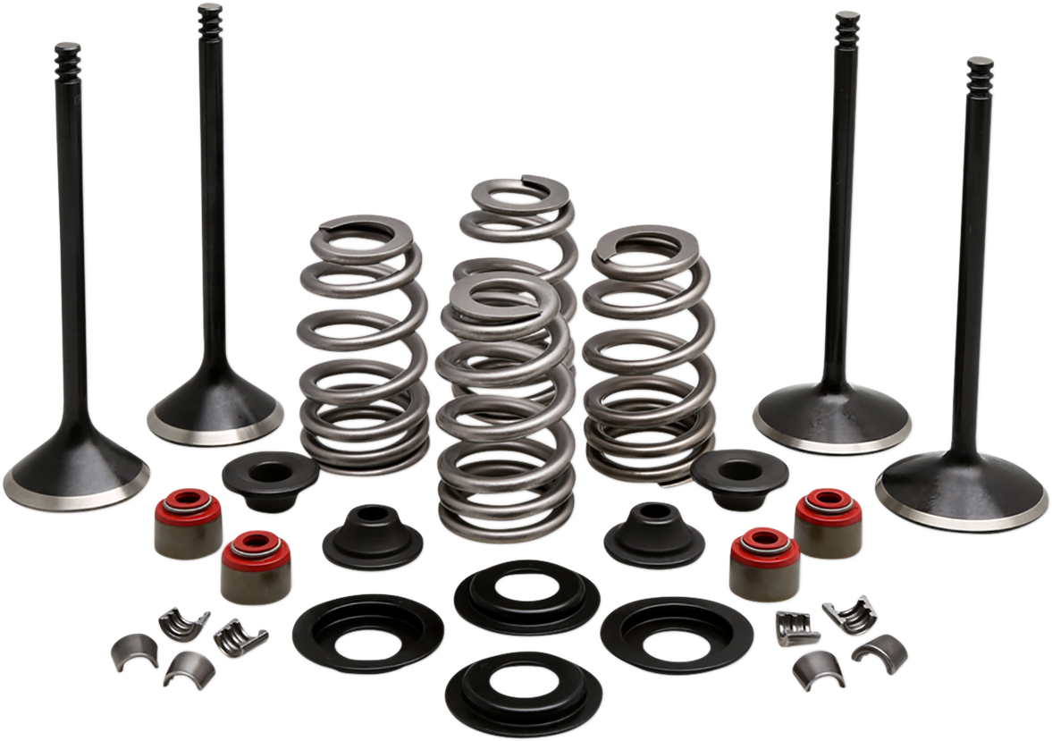 0926-3220 - KIBBLEWHITE Complete Valve Kit - Twin Cam 20-23150 ...
