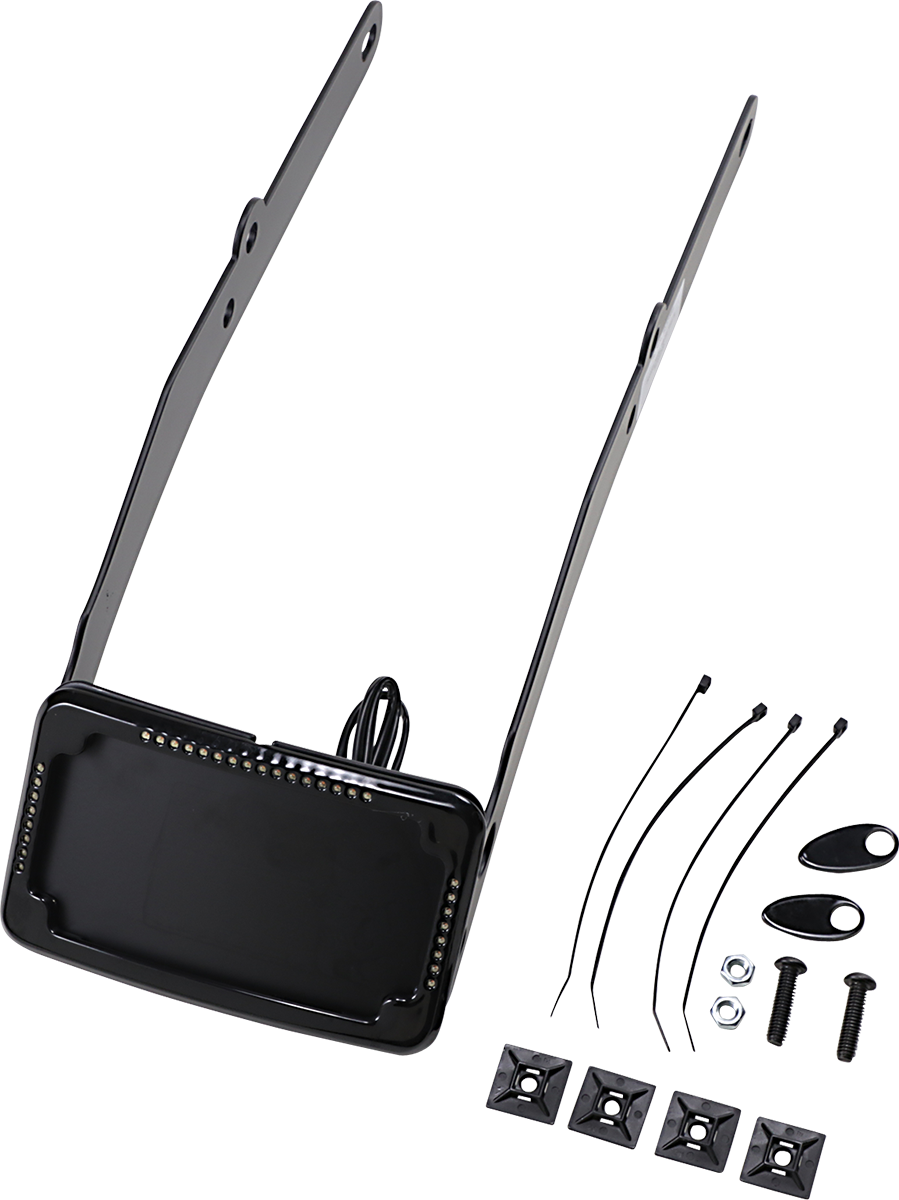 2030-1441 - CYCLE VISIONS LP Plate Frame & Mount with Signals - FLSL ...