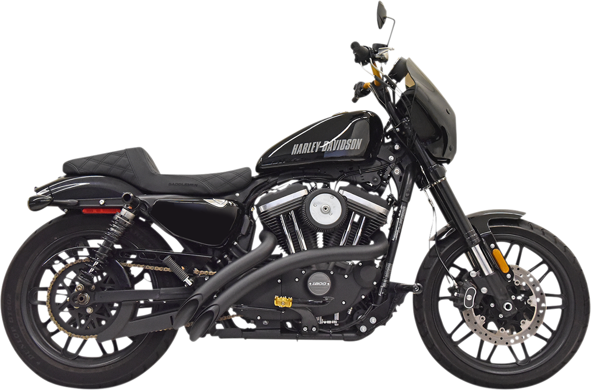1800-2464 - BASSANI XHAUST Radial Sweepers Exhaust System - Black 1X3F ...
